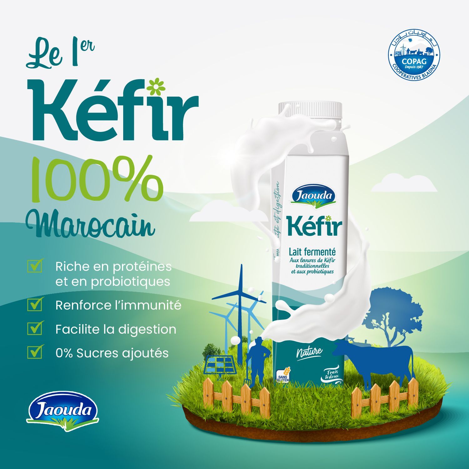 Jaouda innove avec le 1er Kéfir 100% marocain ! – awal 24